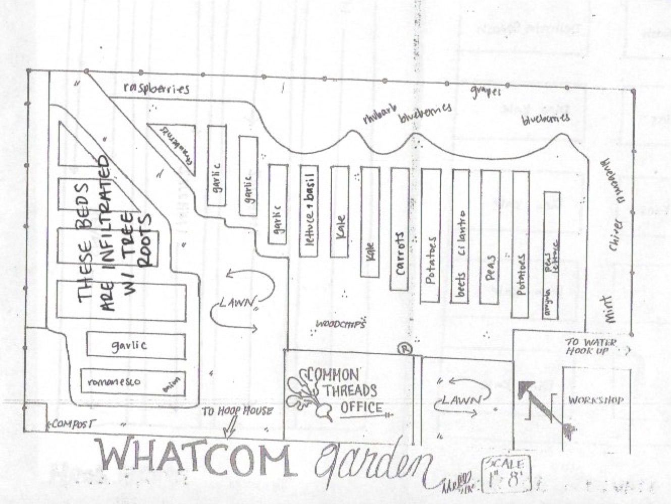Whatcom Middle School | Common Threads Farm