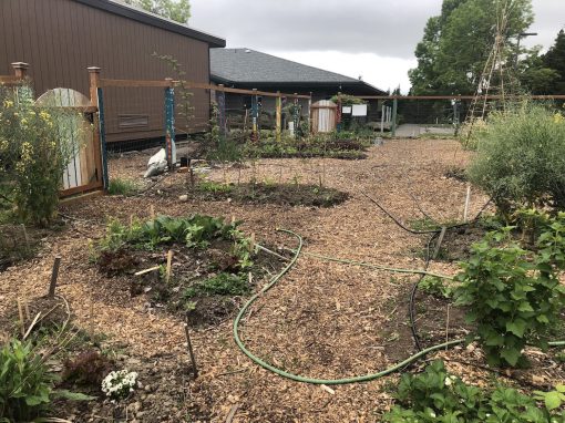 Kulshan Middle School | Common Threads Farm